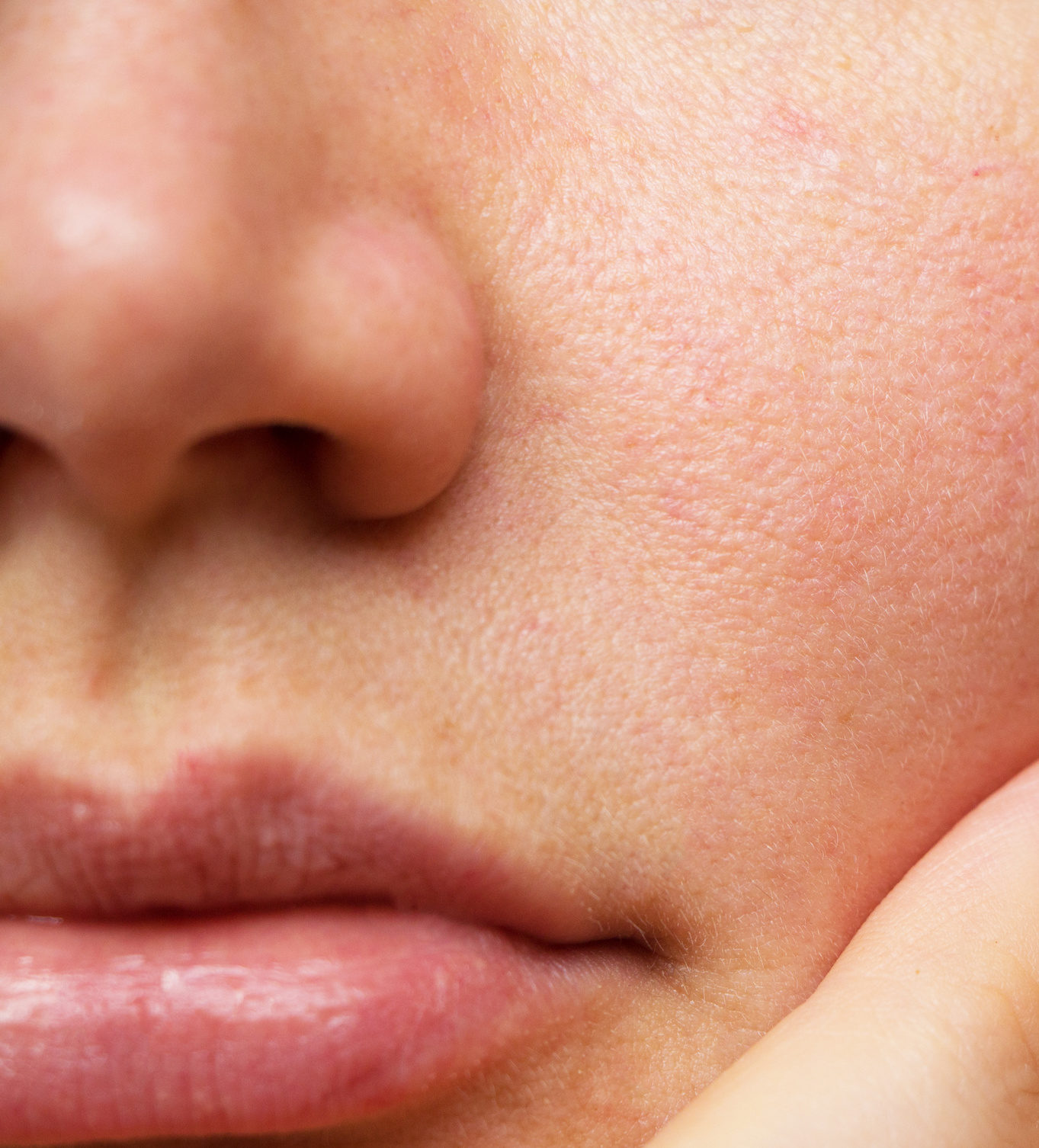 Elasticity and Firmness | MIYOUNGS